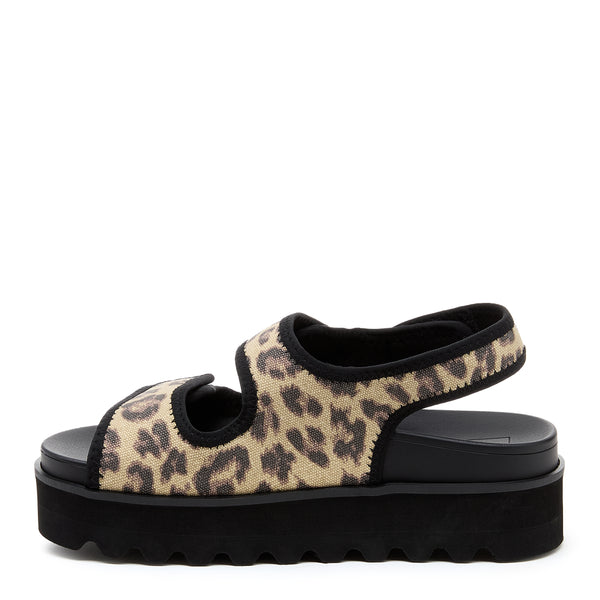 Rocket Dog Women's Balmy Black Leopard Sandal – Rocket Dog®